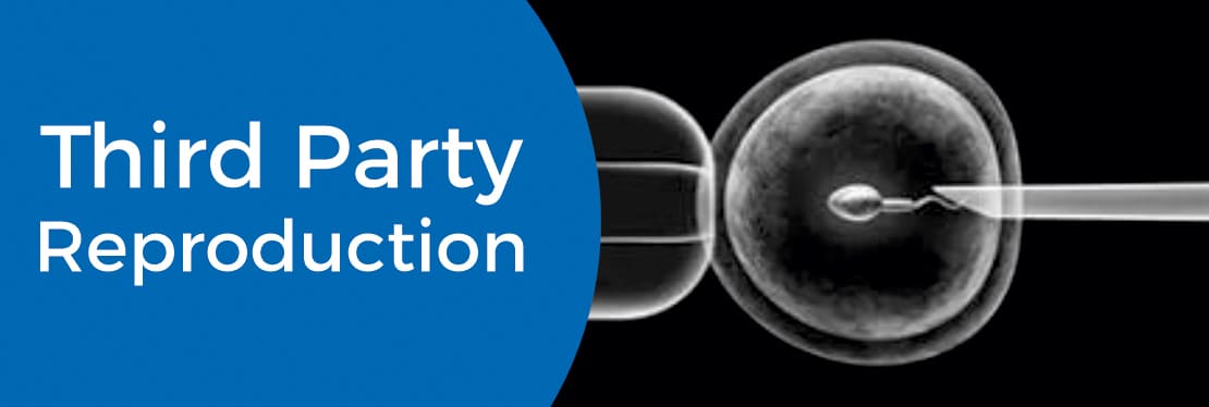 Third-party Reproduction: Egg, Sperm, and Embryo Donation | Milann The ...