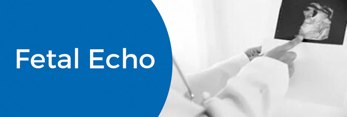 What is a Fetal Echo (for Parents)? | Milann The Fertility Specialists