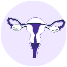 Milann - Preconception